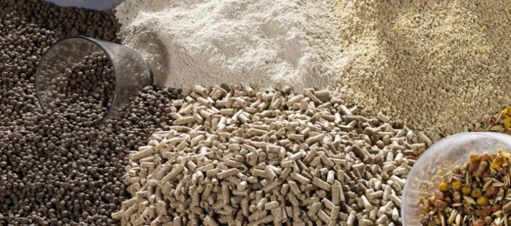 How to Control Mycotoxins in Animal Feeds? - TIANJIN GNEE BIO TECHNIQUE ...